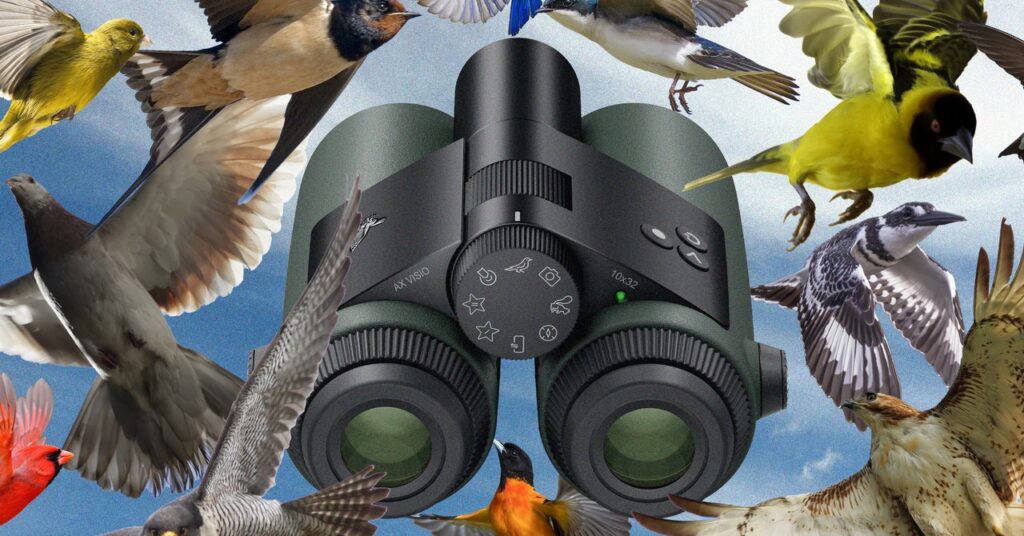 I Went Birding With the World’s First AI-Powered Binoculars – Shop.survirtual